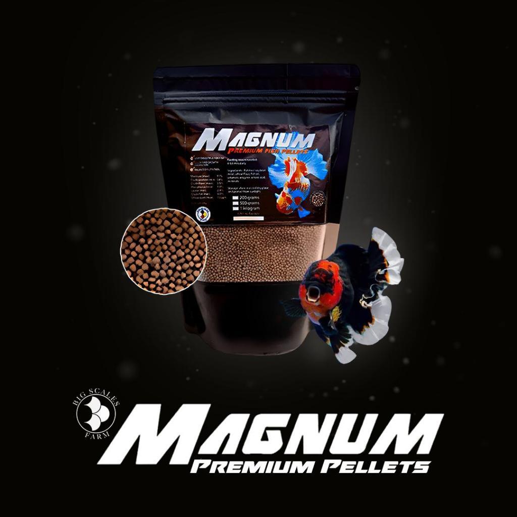Magnum:KPremium(oV) FLOATING & SINKING Gold Fish Pellet, Fish Food,'dG{Aqua