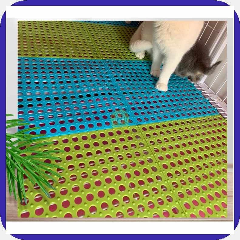 Small}Mo_pet/l