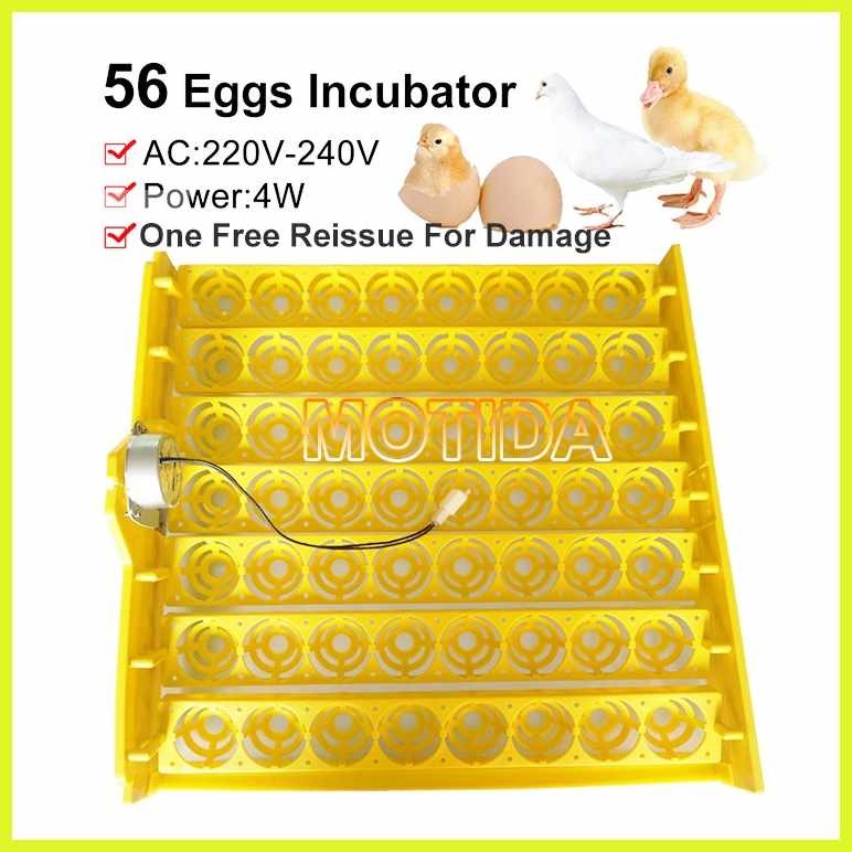 Automatic/gv[Egg)E,Incubator'dG{56