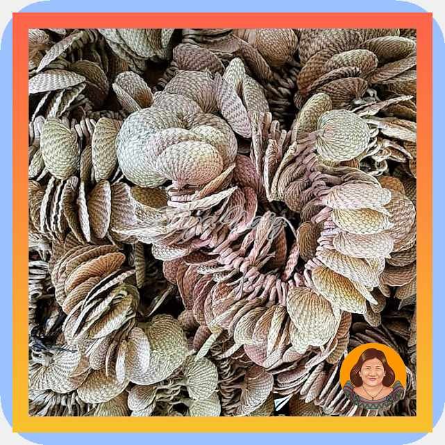 TIYA NATY Mini Abaniko Pamaypay Cute Small Fan DIY Souvenir Craft ...