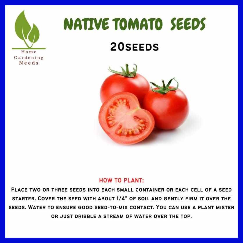 TOMATO!J}NATIVE=eV@SEEDS_r:-%R:(20pcs) | Shopee Philippines