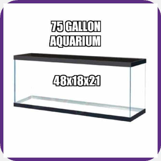 1/4.R)Glass#L|fish=Bk|tank=Jq|75=HB|gal=Vz|gallon=i|Aquarium | Shopee ...