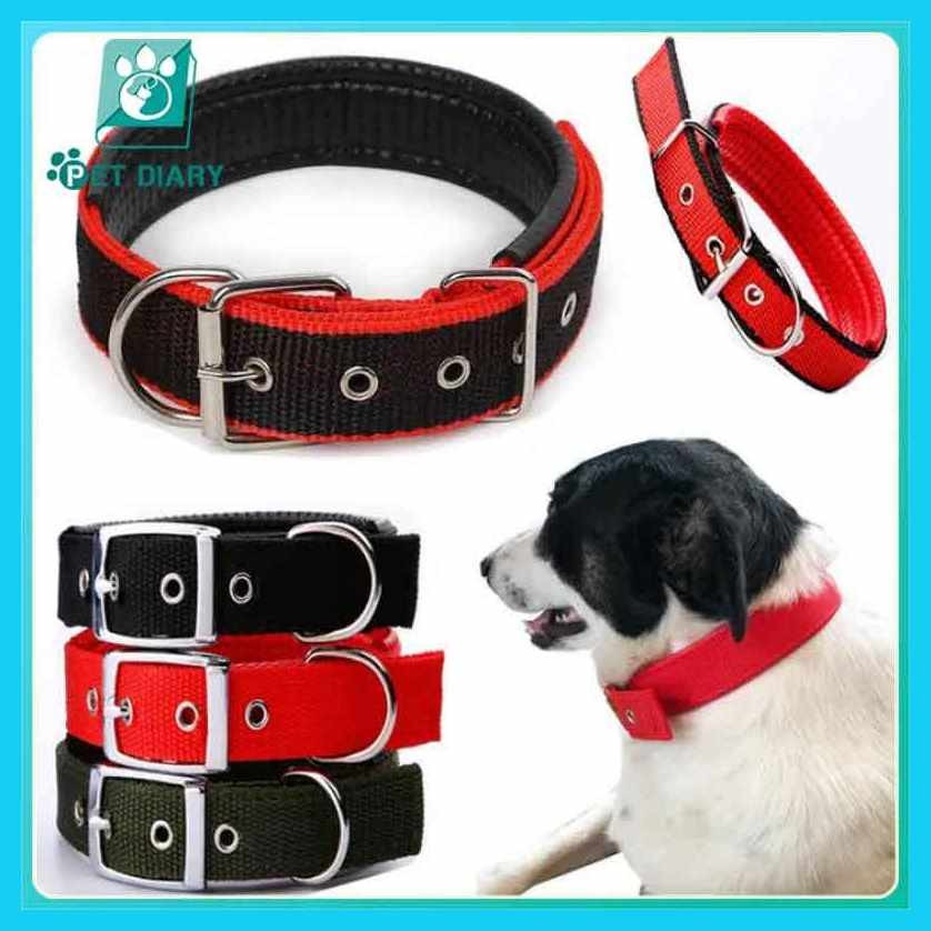 Dog>LL}Collars>Bz}big>nF}dogs>BU}Collars>WI}Color>vl}Foam>GL}Pet>Mz ...