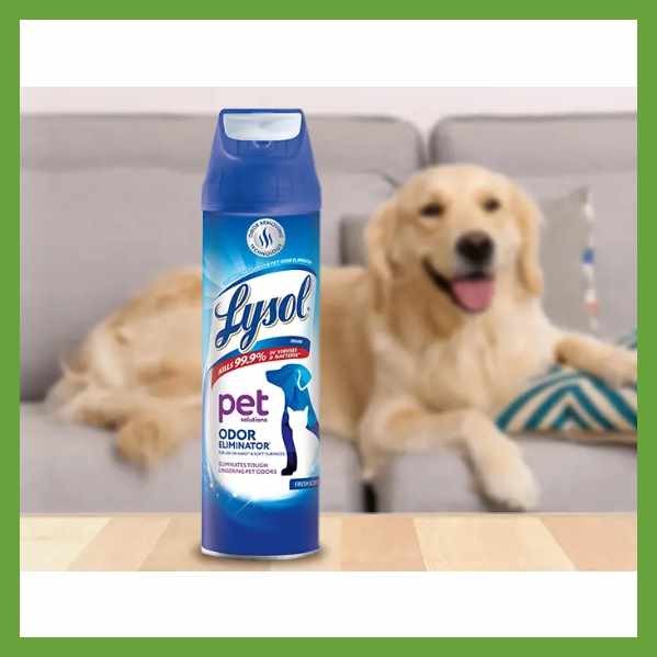 LYSOL PET ODOR ELIMINATOR DISINFECTANT SPRAY | Shopee Philippines