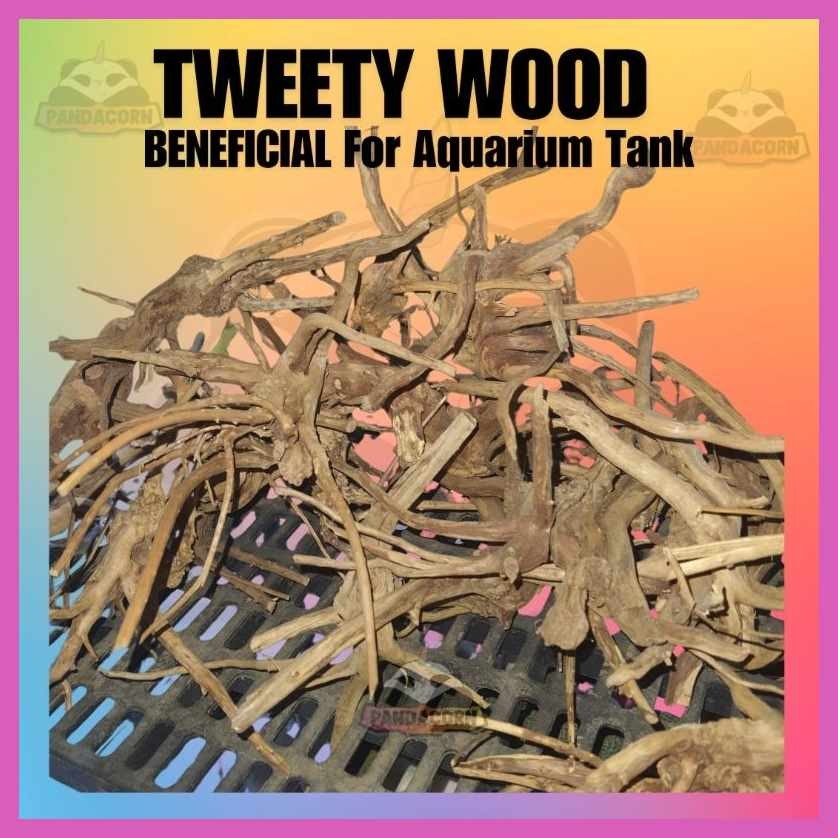 DRIFTWOOD~su!TWEETY}X}WOOD}u)RANDOM}w)for}Z)Aquarium}Q)|}l)Pandacorn ...