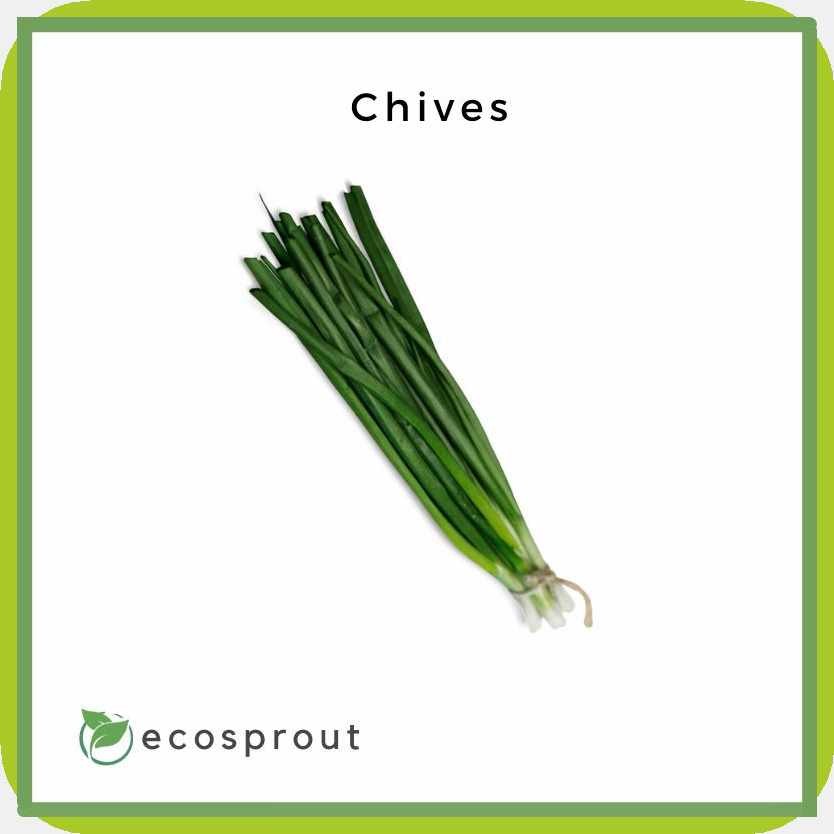 Fresh)A;Chives!c[|,x[Kuchay,v[|,T[100g,d[|,H[Fresh,WVegetables | Fresh ...