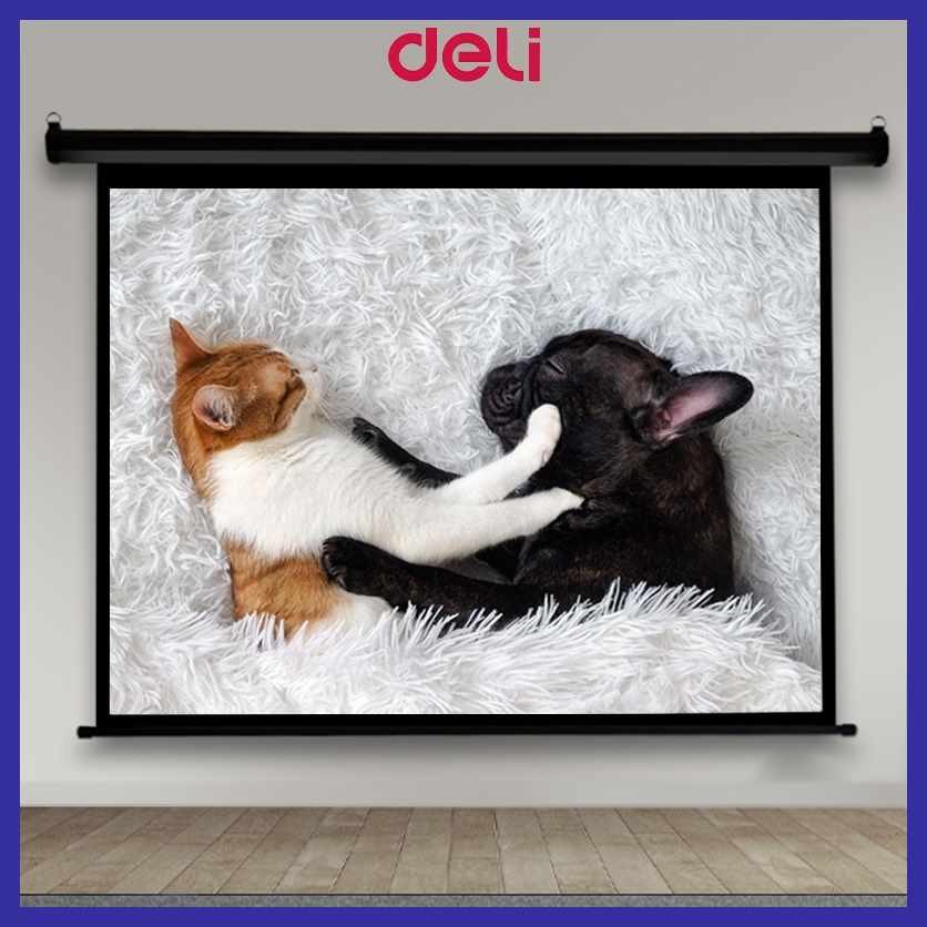 Deli Projection Screen Home Office 100 inch 16:10 Automatic Remote ...