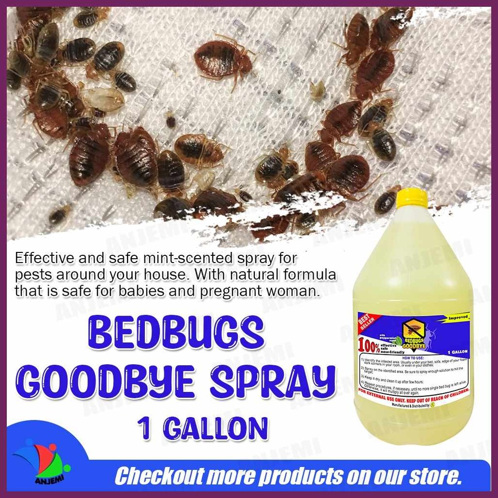 BEDBUGS;QK%GOODBYE*SZSPRAY'ZZ{1