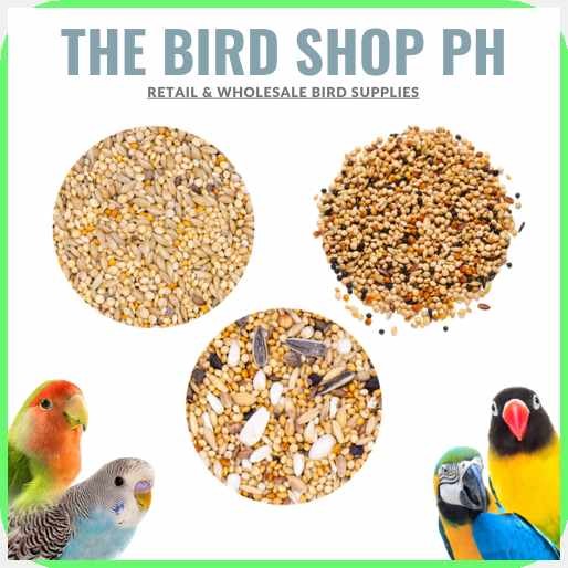 The'b]Bird]kB`Shop+ta@SE@PH+uv@Birdseeds+wc@African+yR@Canary+j@Bird ...