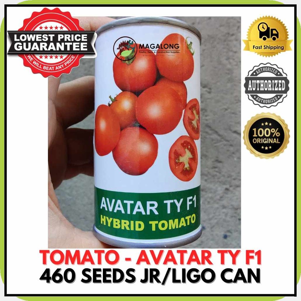 CONDOR]Y'SEEDS%H+- i+T+L+Mn+cG+Li+TOMATO SEEDS - AVATAR TY F1 HYBRID ...