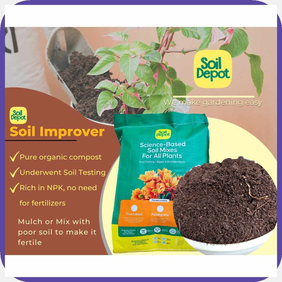 SoilS