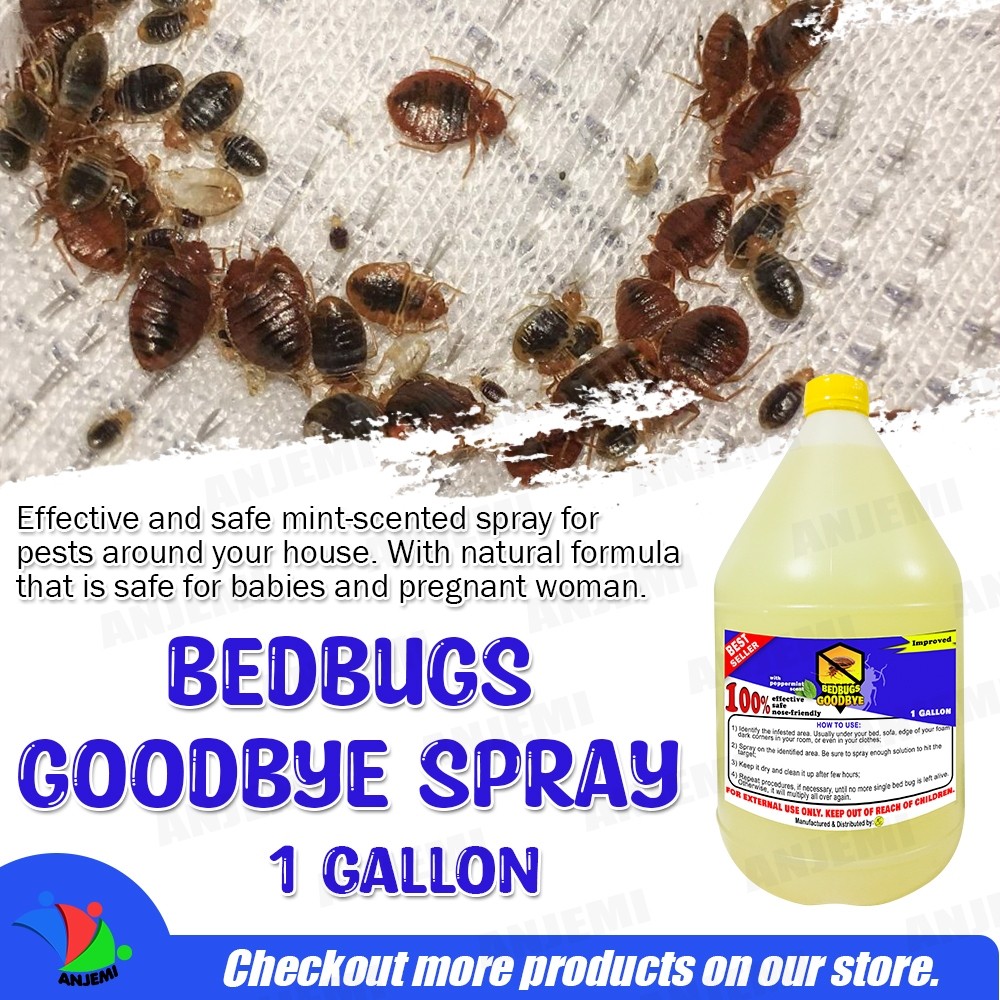 BEDBUGS GOODBYE SPRAY 1 GALLON — Bedbugs Killer Bedbugs Remover Pamatay ...