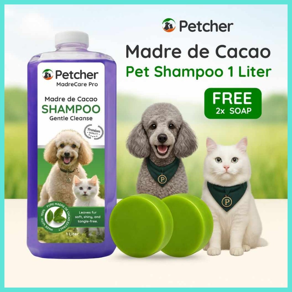 Petcher,AY-Madre)y&De+xH@VD@Gq@k@Y@d Cacao Pet Shampoo 1 Liter with ...