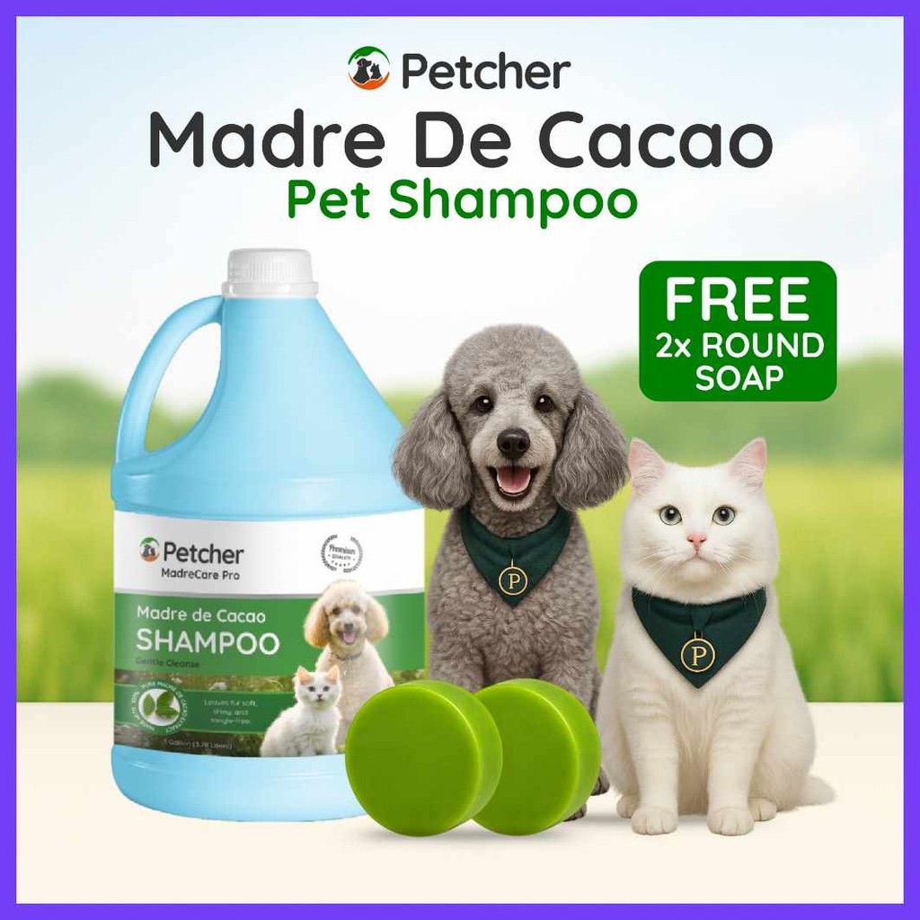 Petcher]IJ#Madre_I)de#Qu]Cacao.Oh]1.oV]Gallon.Yf]1.pZ]Liter.U]500ml Pet ...