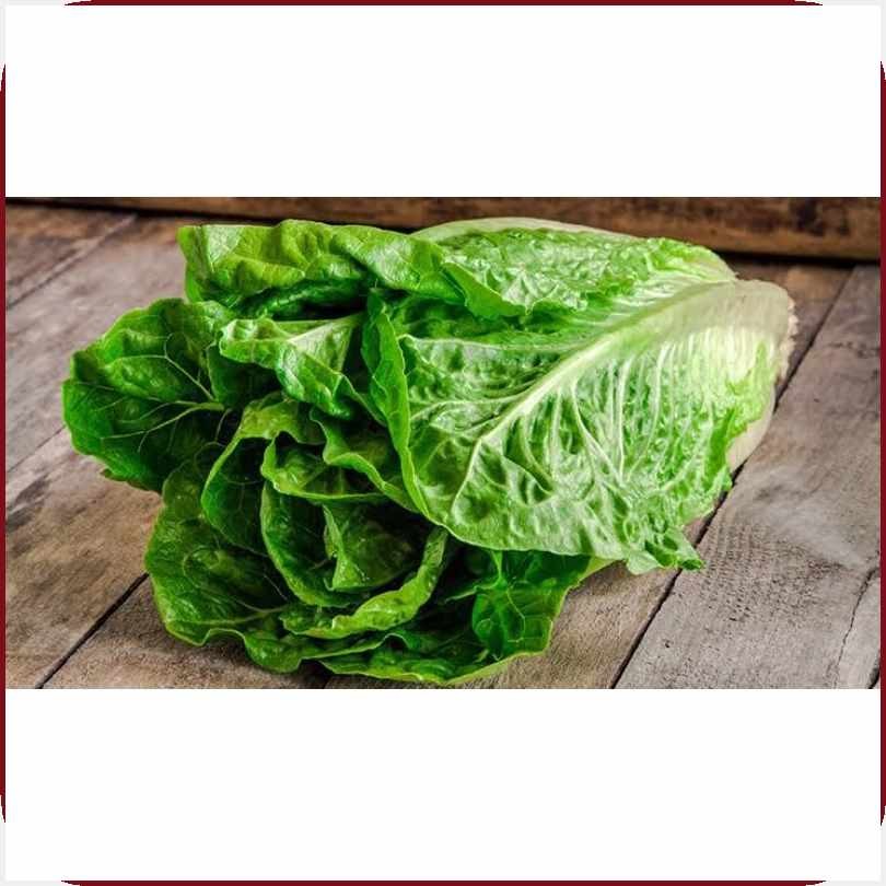 ROMAINE$E^LETTUCE;M}SEEDS]Q.-#XF.50pcs | Shopee Philippines