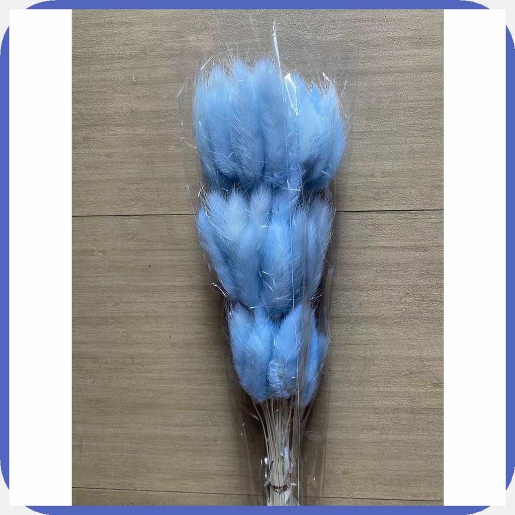 Bunny's Tail Dried Flowers per Bundle | Shopee Philippines