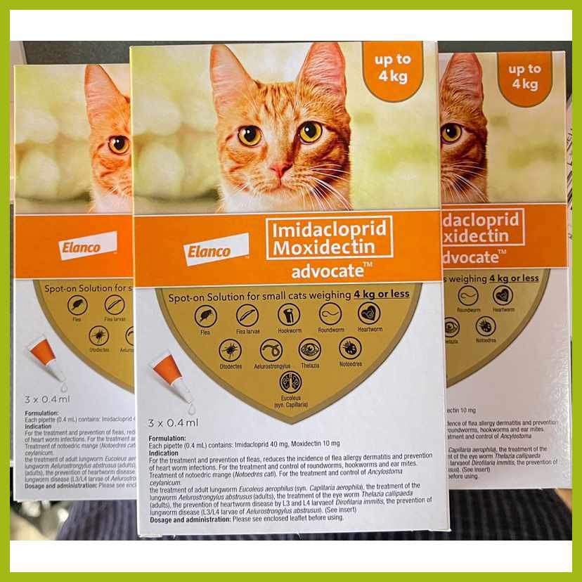 Advocate Cat for tick and flea (11/25 expiry) | Shopee Philippines