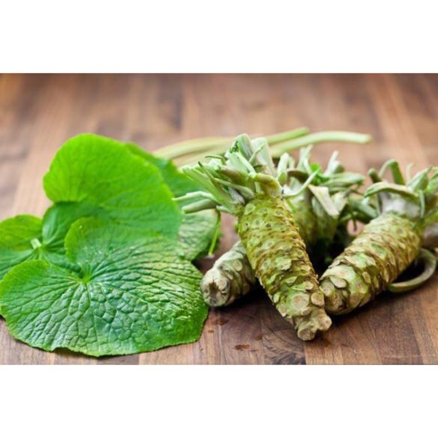 Organic Wasabi plant seeds (spicy) | Shopee Philippines