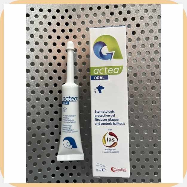 Candioli Actea Oral Gel 15ml | Shopee Philippines
