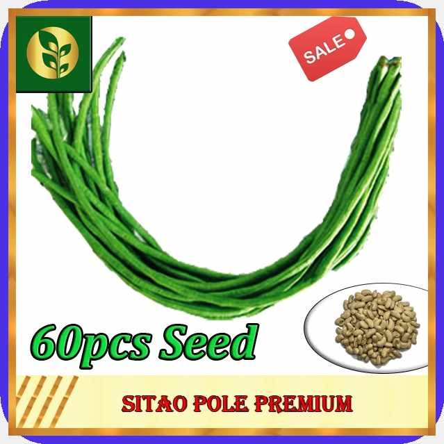 Sitao#rH;V,Pole+f@F@K@g@b@T Seeds | Sitao Seeds | Sitaw Seeds | Golden ...