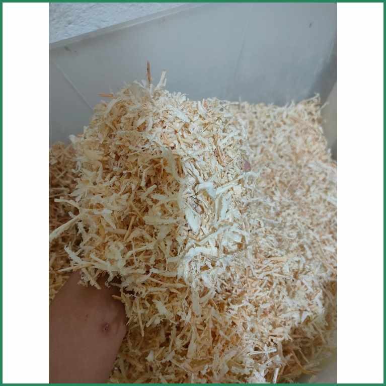 Palochina_w/Kusot>LK,500G;Y&Bistay`w&ChipType`t&Class`C&A`c&CLEAN`X&AND ...