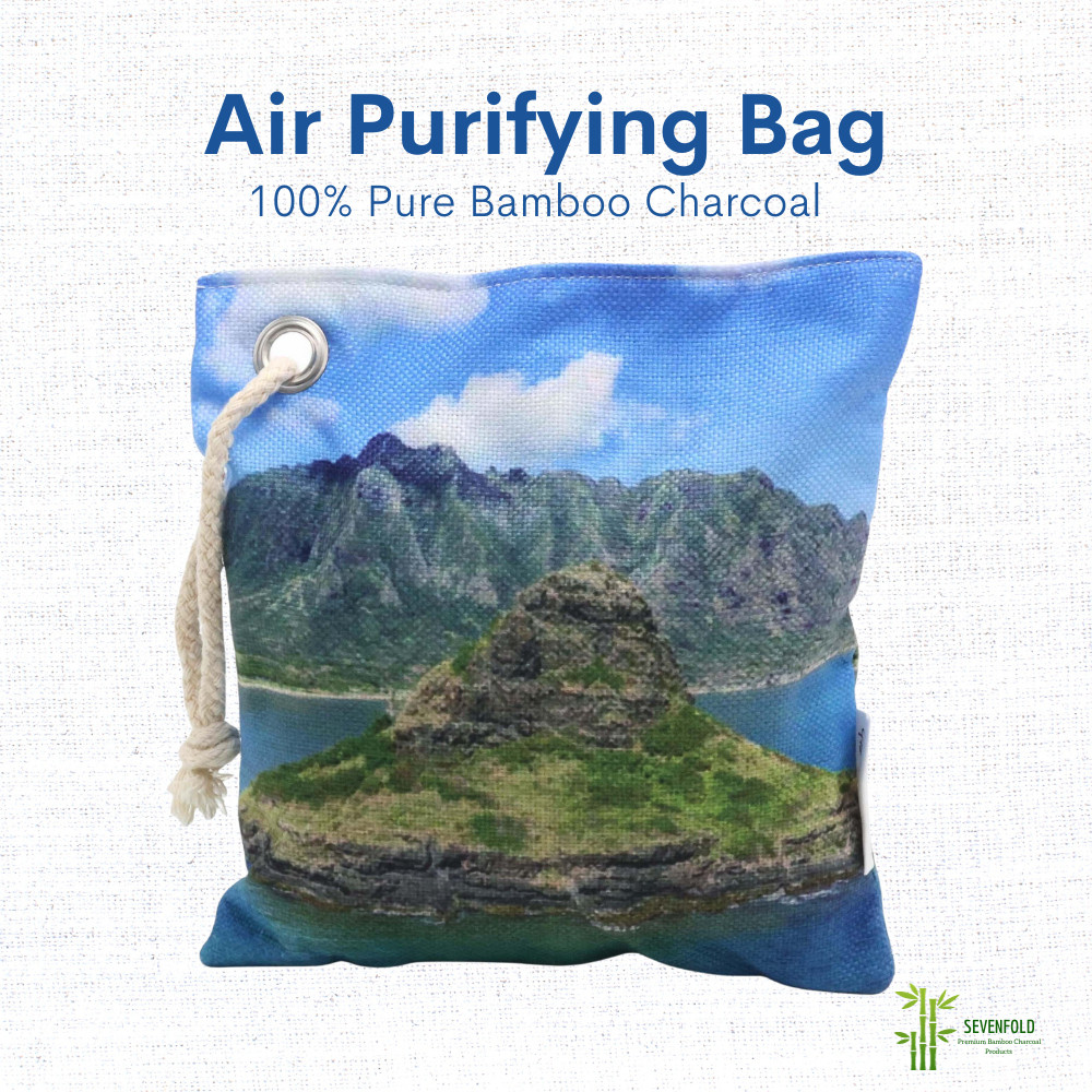 [7FOLD] 200g. Pure Bamboo Charcoal Air Purifying Bag Deodorizer Odor ...
