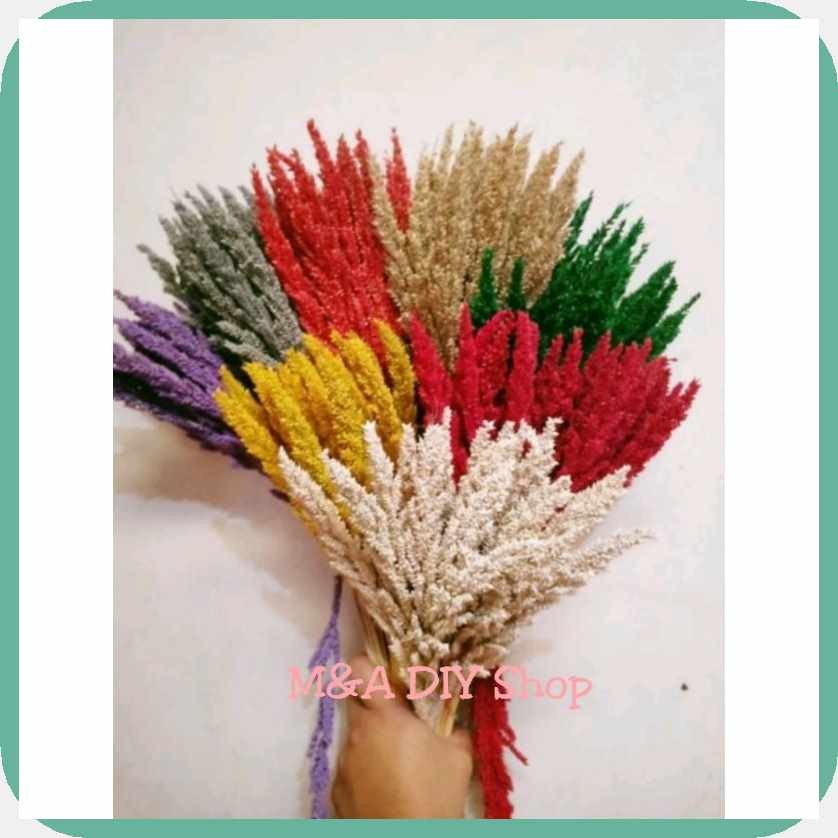 Dried'gW?Trigo;tA>Flower/y$(^A$6stem^C$) | Shopee Philippines