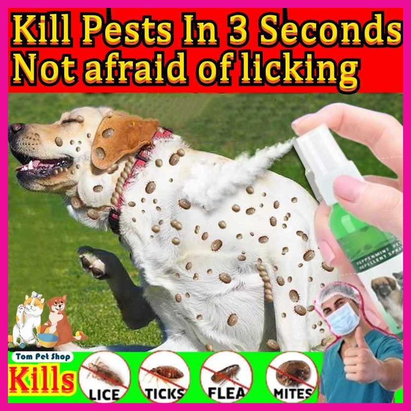 Tick?pm@and&uh#Flea)rL}Spray>tk}300ML>vb~Anti?ud~Tick?N~Garapata>Q}Flea ...