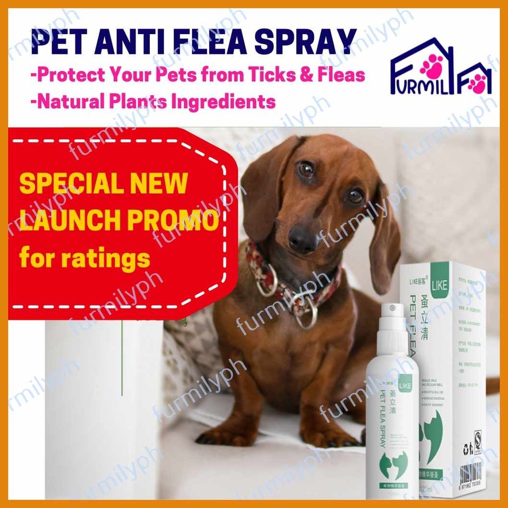 FURMILY`n:PET}J[FLEA{F
