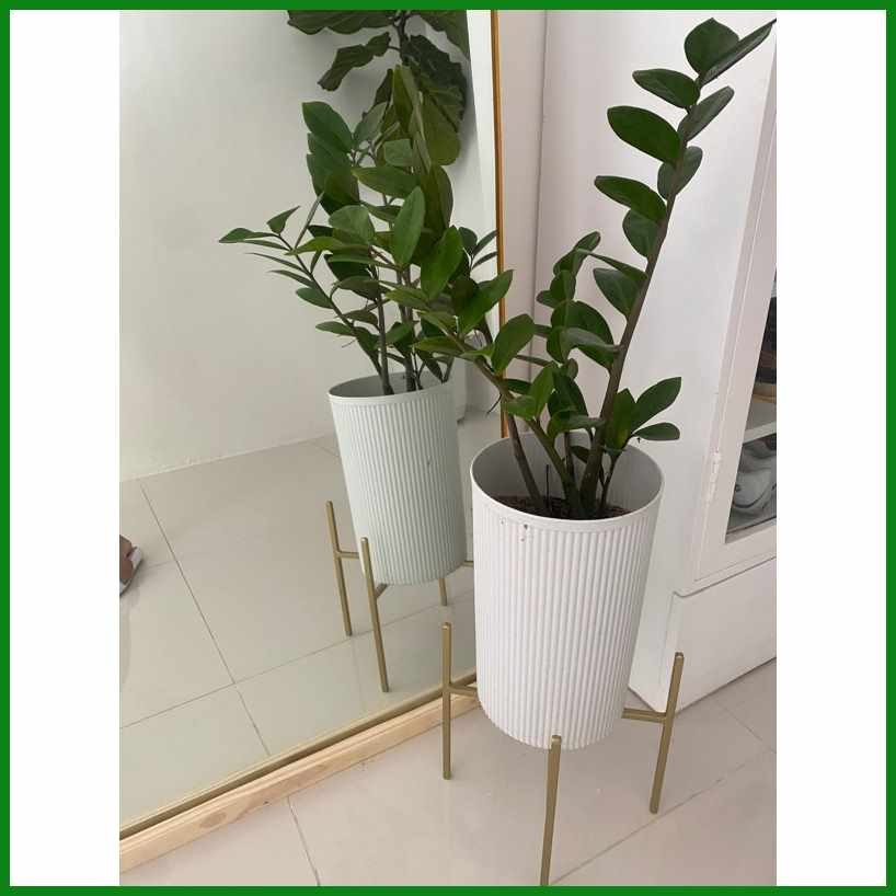 Welcome / ZZ Garden Soil Bulok na ipa and polybag | Shopee Philippines