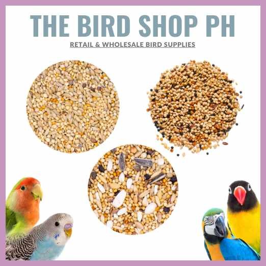 The{c_Bird+Y@d@Shop+Y@PH+u@Birdseeds+D@African+D@Canary+yY@Bird Mix ...