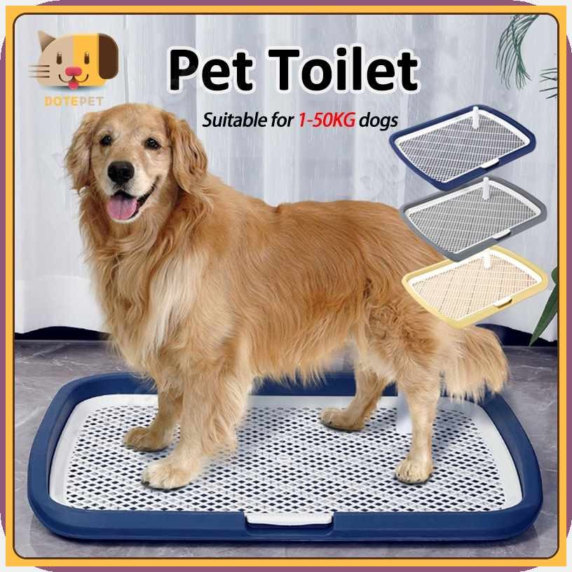 Extra&Sl]Large`rl.Dog}gN>Toilet)xX>Flat)DD>Dog)qx>Toilet)Sf>With)VF ...