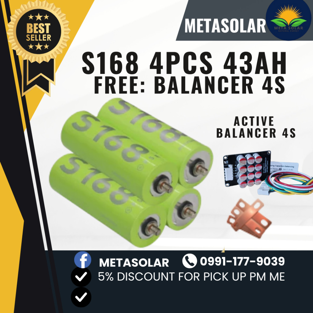 FREE BALANCER 43Ah S168 LiFePO4 Lithium Battery Rechargeable ...