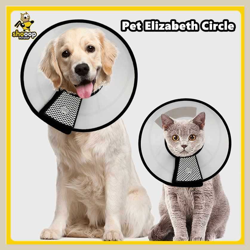Pet protective collar Dog Elizabeth collar Dog Recovery Collar Dog Cat ...