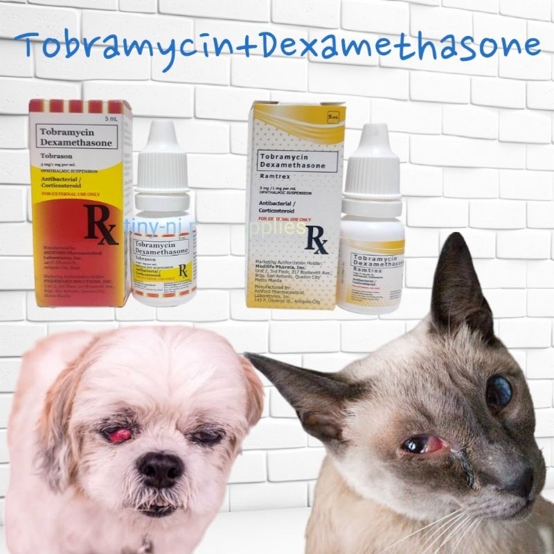 TobraDexaPet (Ramtrex Tobrason) Eye Drops for Pet Dog Cat|5ml ...