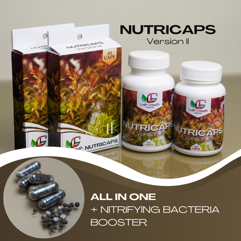 All-in-One Aquarium Root Tabs | LGA Nutricaps V2 | Shopee Philippines