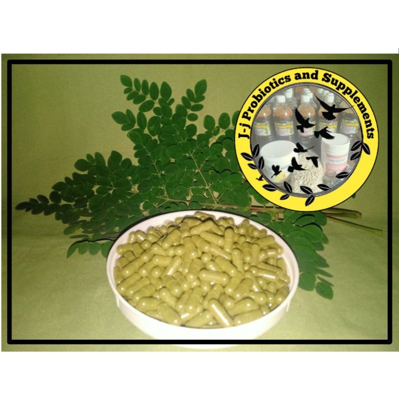 Moringga/ Malunggay Capsules sold by 100pcs | Shopee Philippines