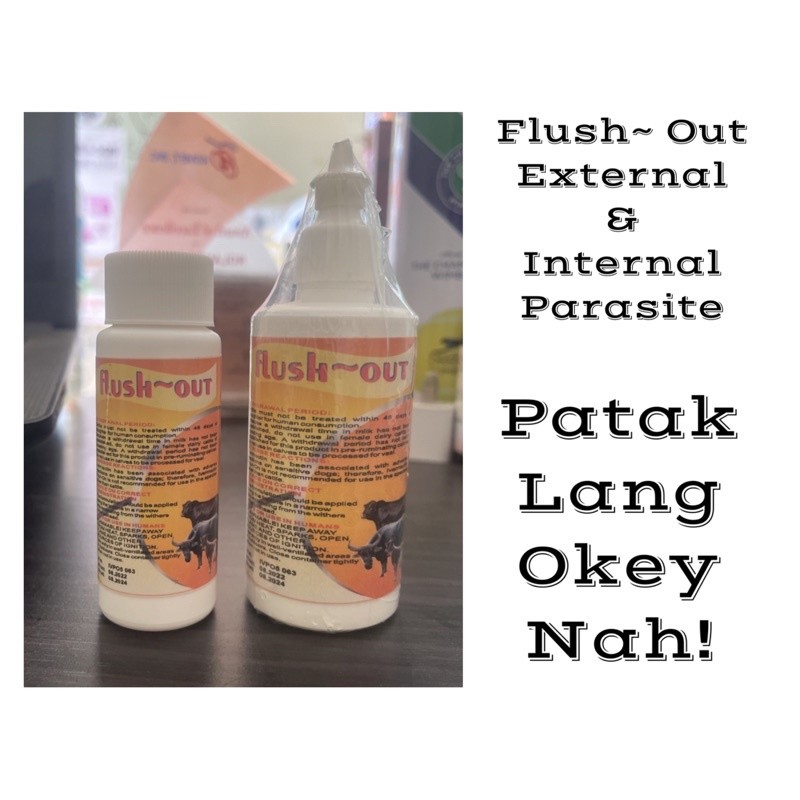 Flush - Out Bulate ka! Dewormer Papatak ka lang! ( External & Internal ...