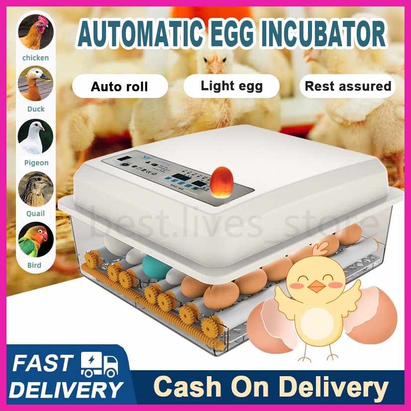 Warranty/Incubator{Qv}For~eh/Egg/Fully^q$Automatic^m$Mini^h$Egg^D ...