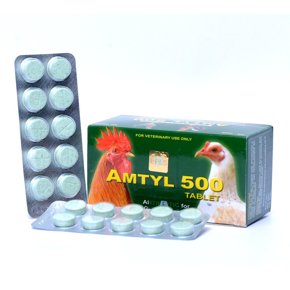 AMTYL 500 PER PIECE ANTIBACTERIAL TABLETS Amtyl500 | Shopee Philippines