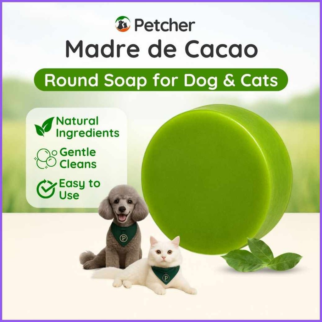 Petcher%bR#Madre;wT&De&Cacao&Round&Soap&u
