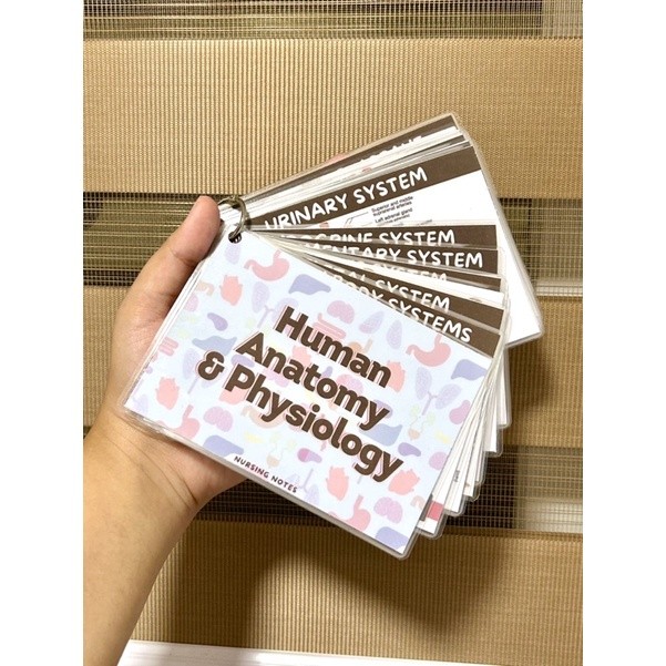 Anatomy and Physiology Flashcard Laminated by NURSING NOTES | Shopee ...