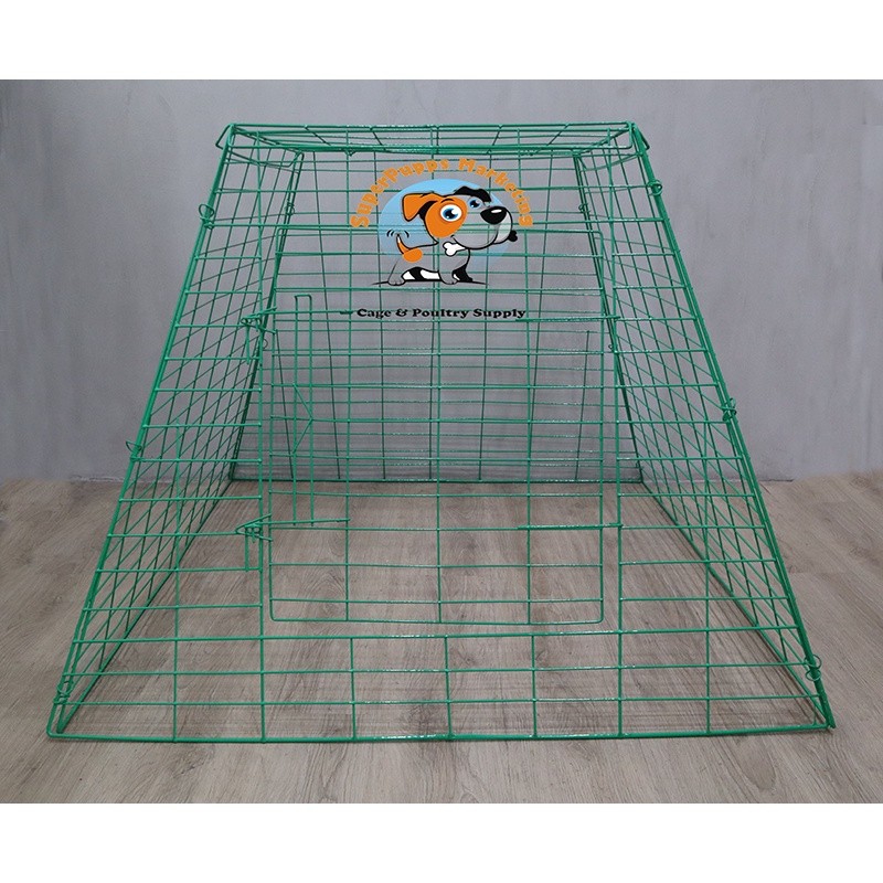 Breeding Pen Panabong/Sabong /Kulungan Ng Manok/Gamefowl/Scratching ...