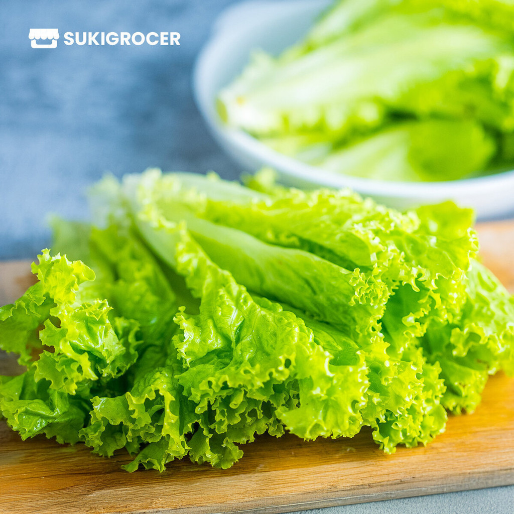 Sukigrocer Lettuce Green Ice 230-250g | Shopee Philippines