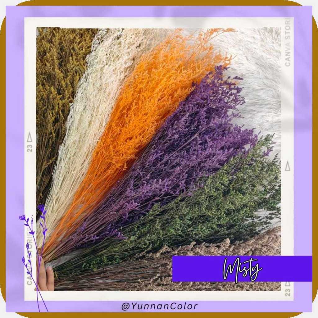 DRIED FLOWERS - Misty (Limonium) | Shopee Philippines