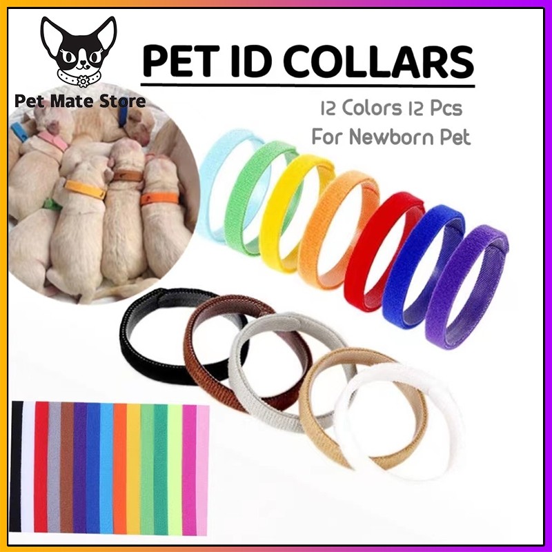 Pet ID Collars Puppy Whelping Collars Kitten Adjustable Soft Bands ...