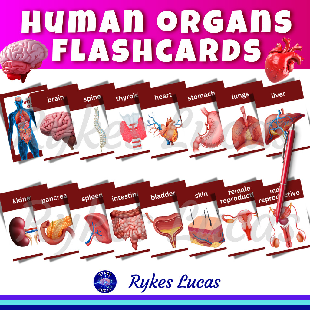 HUMAN`DK`ANATOMY