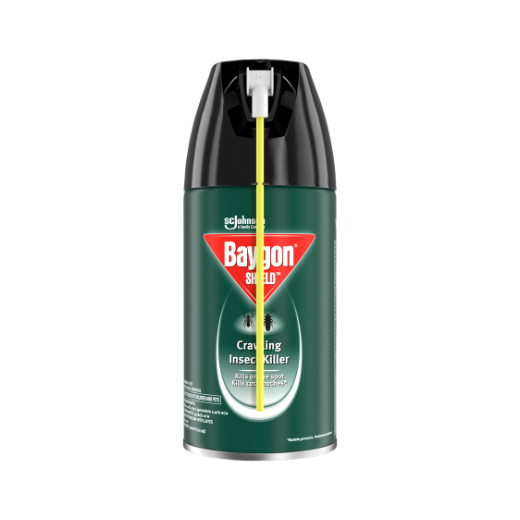 Baygon Cockroach Killer Aerosol - 300ml | Shopee Philippines