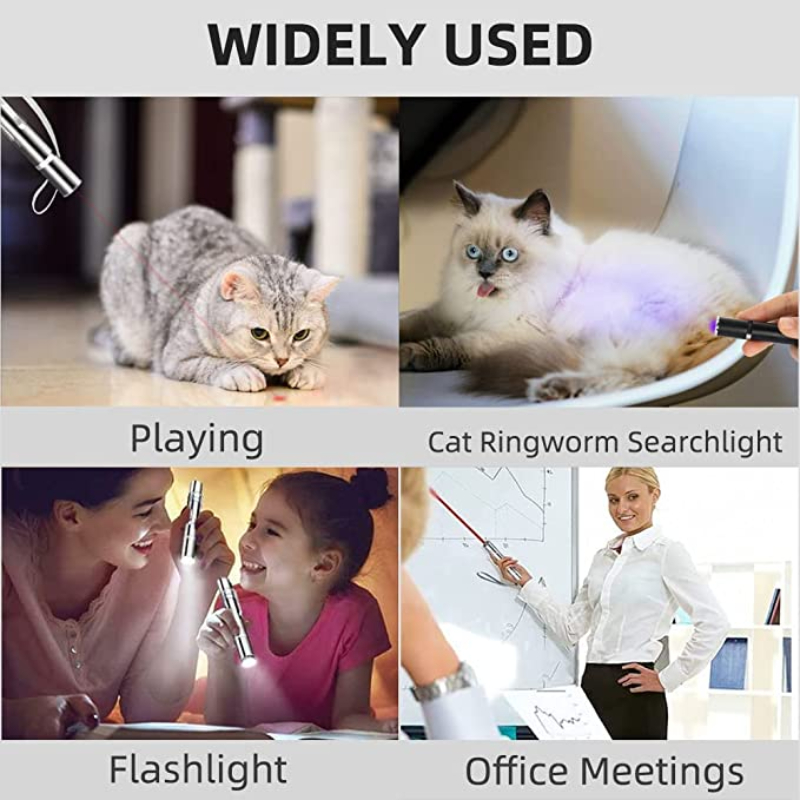 1 Cat Laser Pen, Cat Laser Pen Toy, Indoor Cats and Dogs Play Chase ...