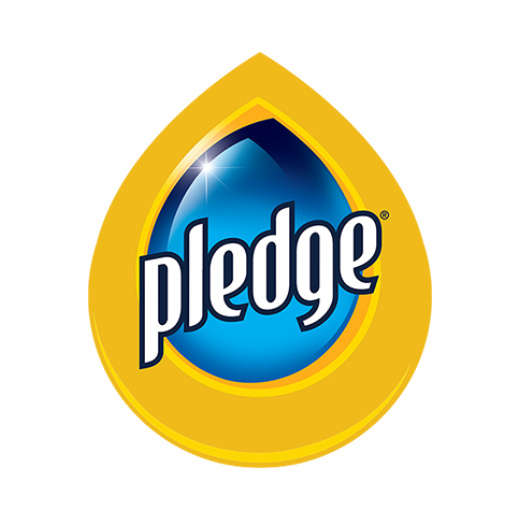 Pledge Rainshower - 330ml | Shopee Philippines